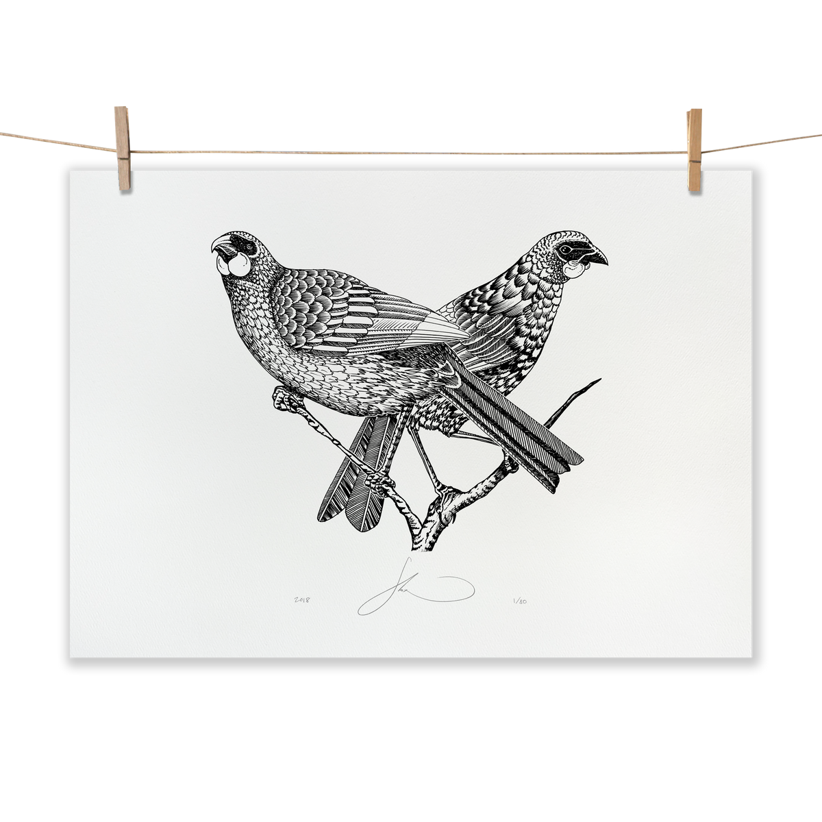 Monochrome Silk-Screen: Kōkako - FLOX