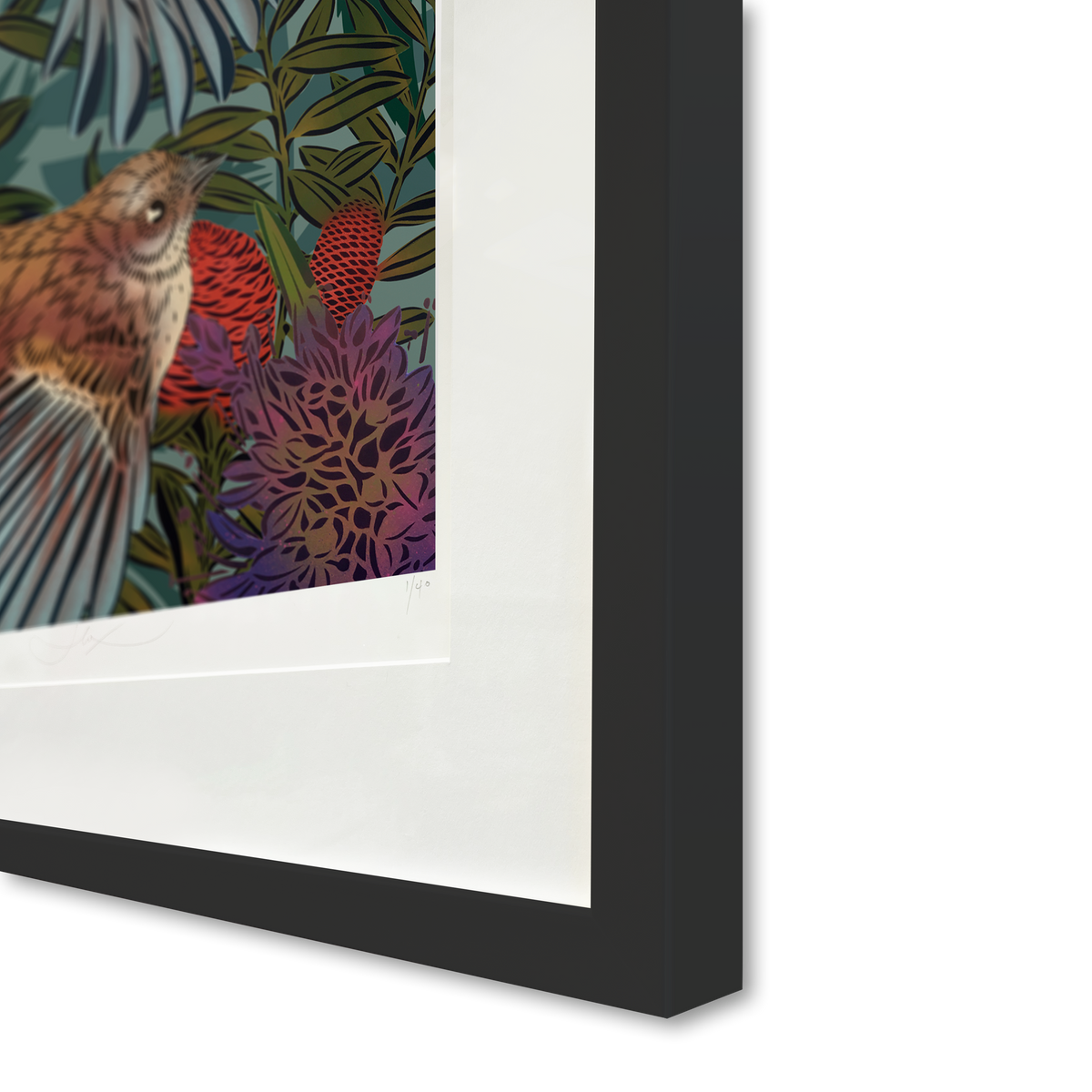 Flying Fantails Legacy Print - FLOX
