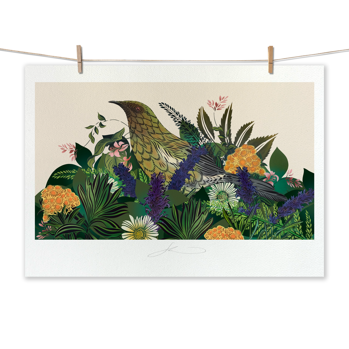 Legacy Series: Horizon Korimako - FLOX