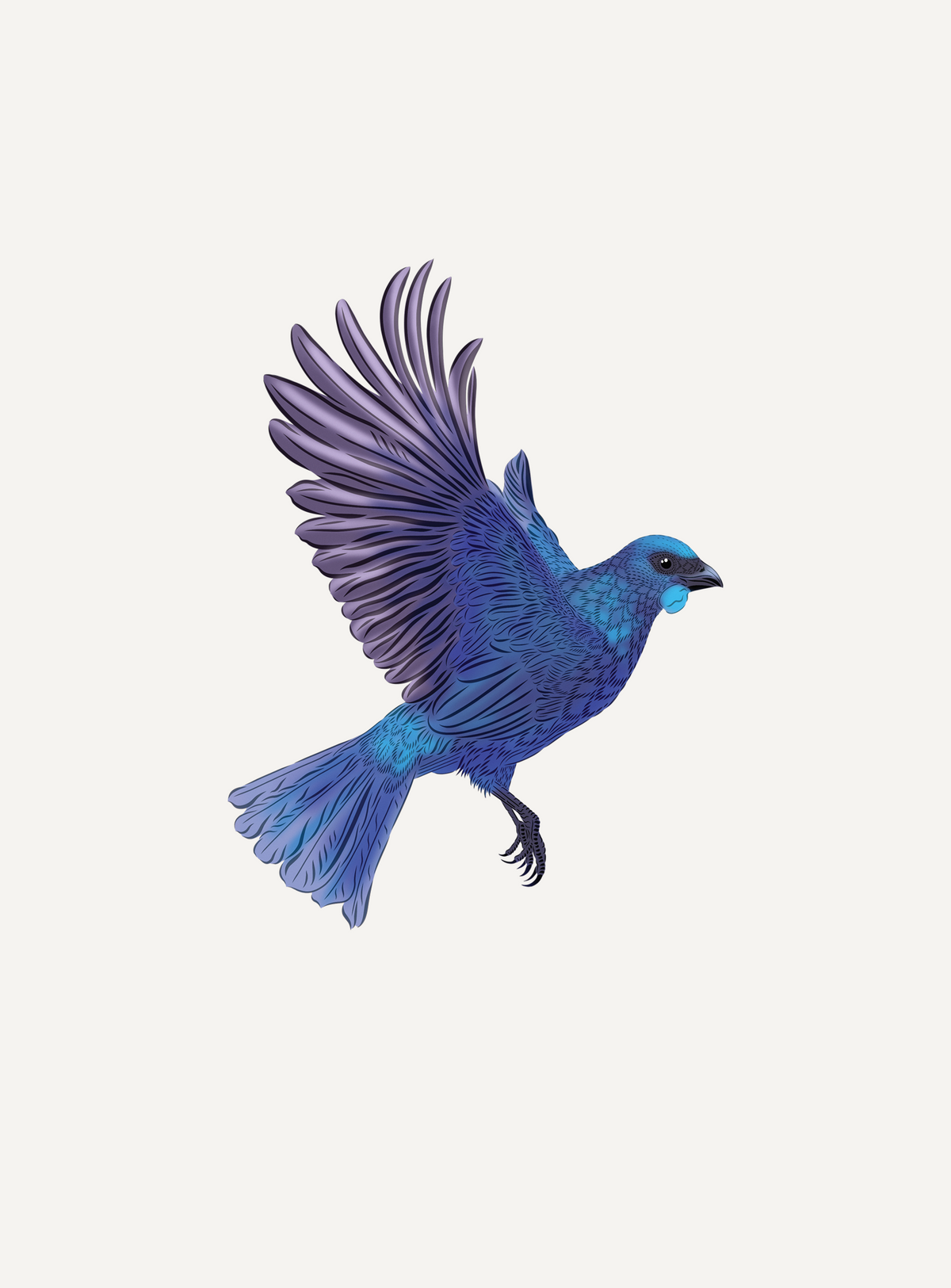 Kōkako Decal - FLOX