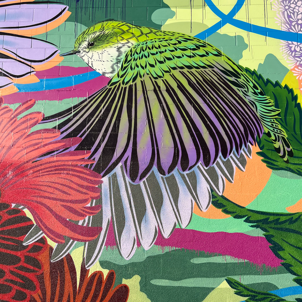 Dunedin Street Art Trail - FLOX